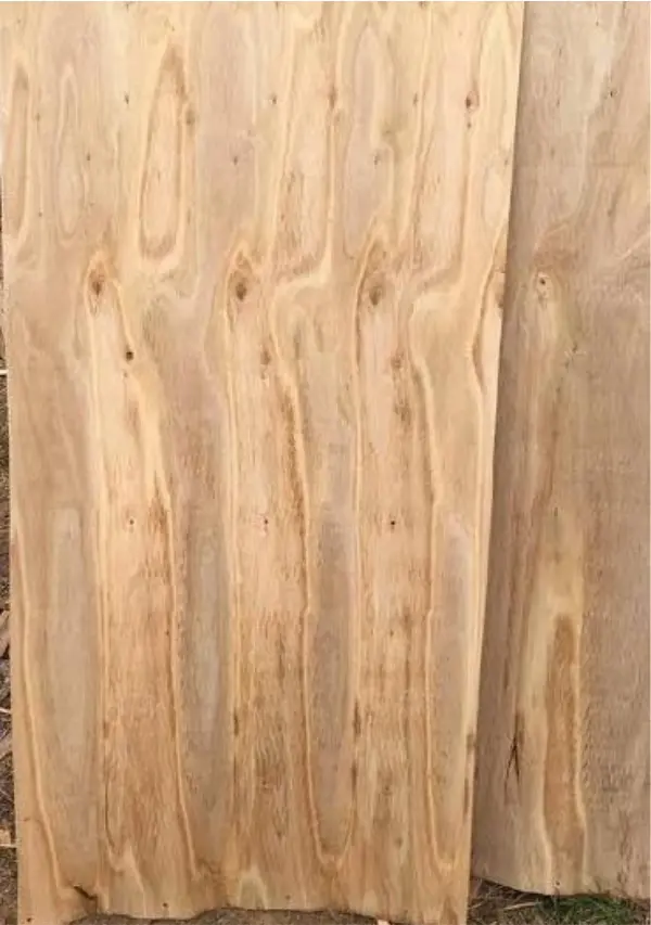 Laminated Door Manufacturer in India - Splice Ply